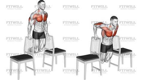 Fondo En El Suelo Con Silla Guía De Ejercicios Video Técnicas