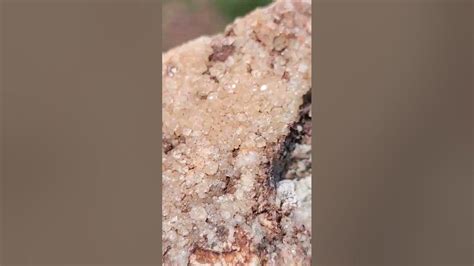 Grassular Garnet Gemhunting Gemhunter Gemstones Specimens Youtube