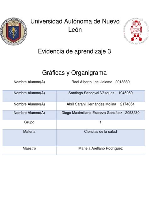Representacion Grafica Sobre El Sistema De Salud En Mexico Pdf