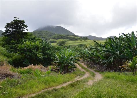 Saint Kitts And Nevis Holidays 2020 And 2021 Tailor Made From Audley Travel
