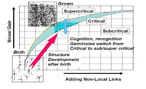 Illustration Of Self Organization Of Critical Behavior In The Download Scientific Diagram