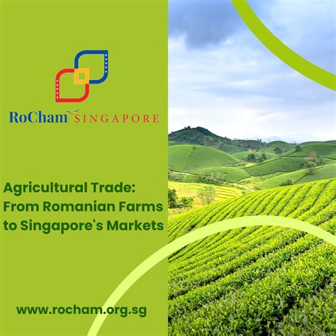 Agriculturaltrade Marketdynamics Globalfood Rocham Rochamsg Digitaleconomy Singaporetech