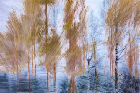 Ari Matti Nikula Luonto 365