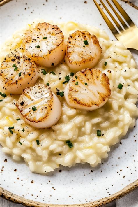 Gordon Ramsay Scallop Risotto Recipe Chef Ramsay Recipes