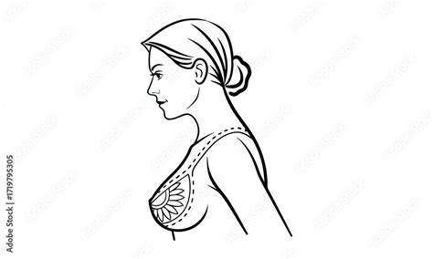 Female Breast Anatomy Structure Diagram Medical Science Educational