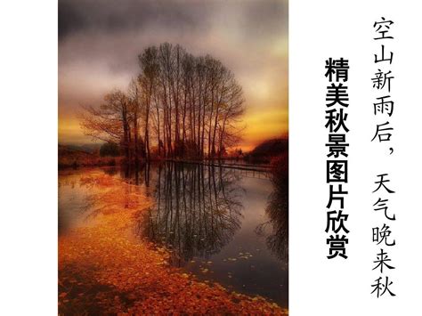 空山新雨后word文档在线阅读与下载无忧文档