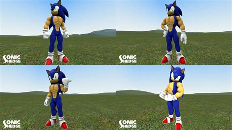 Various Sonic Pose Remakes 2021 By Stonehedgeart On Deviantart