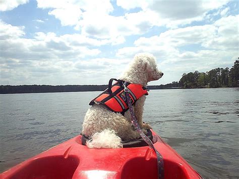 She Loves Going On Adventures Imgur