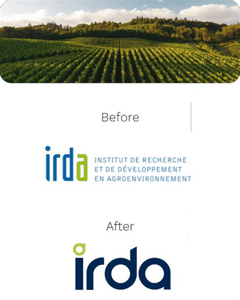 Projects Completed For Irda Bang Marketing