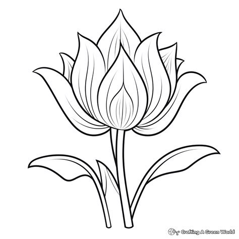 Easy Flower Coloring Pages Free And Printable