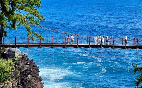 【伊豆绝景巡礼一日游】热海阳光海岸公路and大室山抹茶火山and城崎秘境吊桥and伊东马琳小镇（东京出发） Klook客路