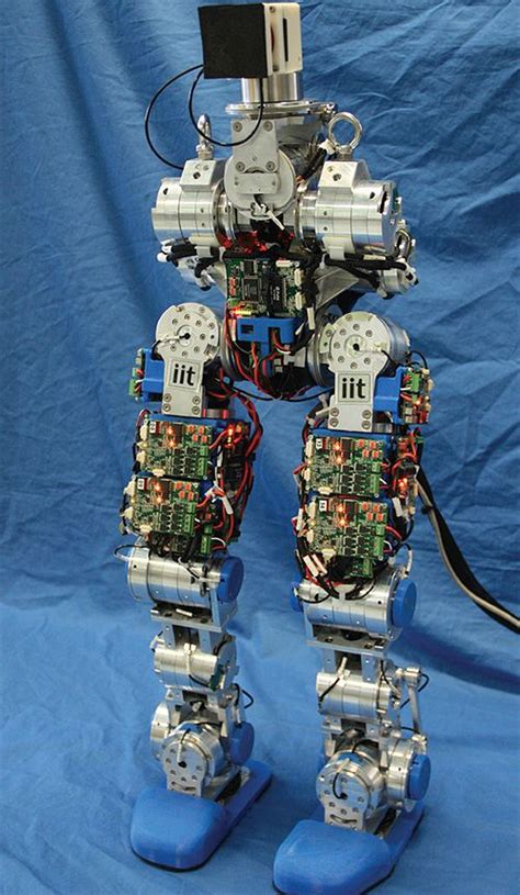 a project using maplesim modeling software at the university of