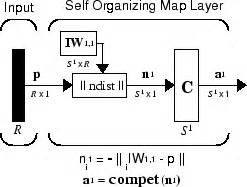 Cluster With Self Organizing Map Neural Network