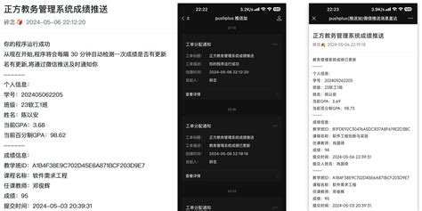 Issues · Nianbrokenzfcheckscores · Github