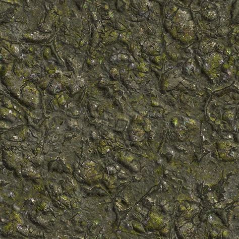 Wetland Texture