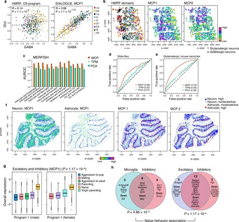 Dialogue Maps Multicellular Programs In Tissue From Single Cell Or