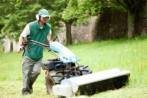 Beginners Guide To Lawn Dethatching 2025 Crabgrasslawn