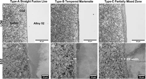 Three Types Of Fb Microstructures A B Type A Straight Fb C D Download Scientific Diagram