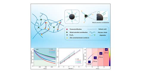 Tuning The Dynamic Properties Of Epoxy Vitrimers Via Bioinspired