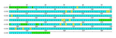 The Disorder And Binding Site Detection The Blue Curve In The Top Download Scientific Diagram
