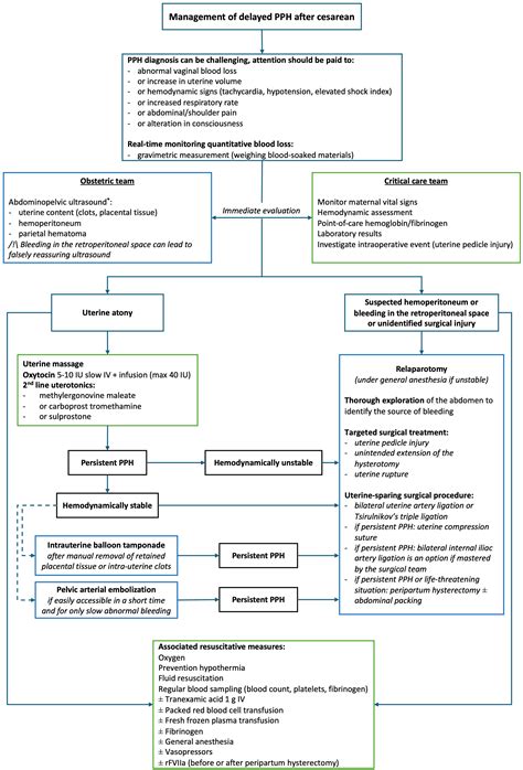 Management Of Immediate And Delayed Postpartum Hemorrhage With Cesarean