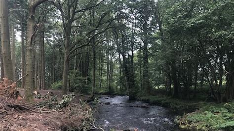 10 Top Things To Do In Carnforth January 2026 Expedia