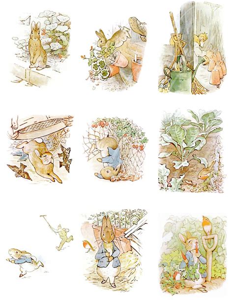 Peter Rabbit And Friends Illustrations