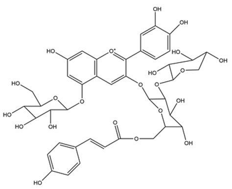 Anti Aging Effects Of Anthocyanin Extracts Of Sambucus Canadensis
