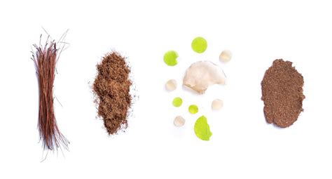 Cheer Project 100 Bio Based And Biodegradable Pine Needle Composite