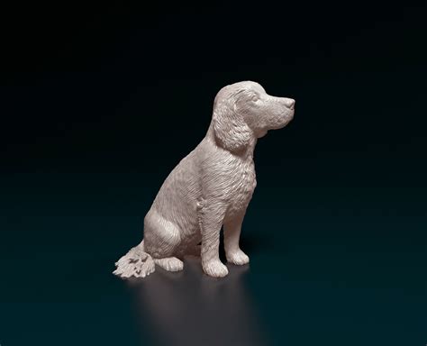Stl File English Cocker Spaniel 🐕 Obj・3d Printing Model To Download・cults
