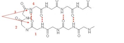 Ch 6 Tertiary Structure Collagen Triple Helix And Protein Structure As