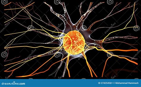3d Representation Of A Neuron And Its Parts Dendrite Nucleus Soma