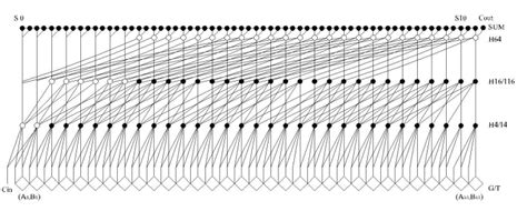 64 Bit Sparse 2 Adder Download Scientific Diagram