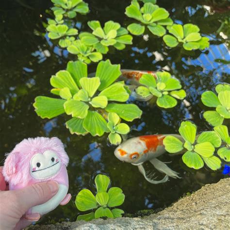 I Settled On The Fringe And Some Reorg… I Felt Like I Needed To Post An Update With All The