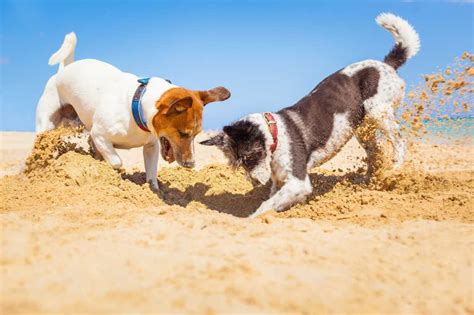 Digging Deeper Into Dbcontext In Entity Framework Core Infoworld