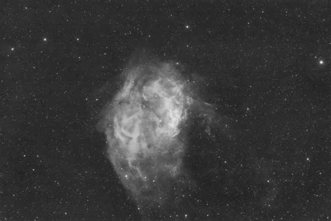 Sh2 261 Lowers Nebula In Grayscale Discovered In 1939 By Henry And