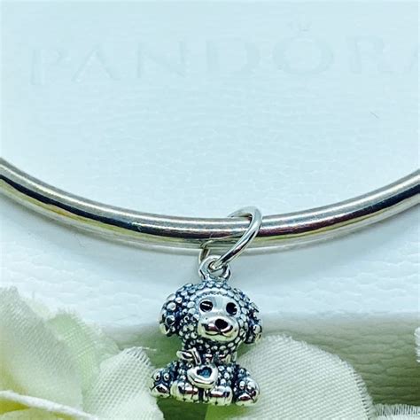 Cockapoo Pandora Charms Etsy