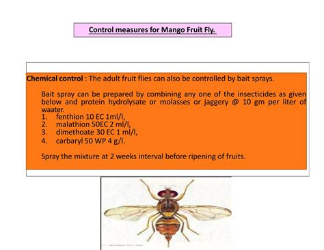 Azan 06 Mango Insect Pests And Diseases Pptx