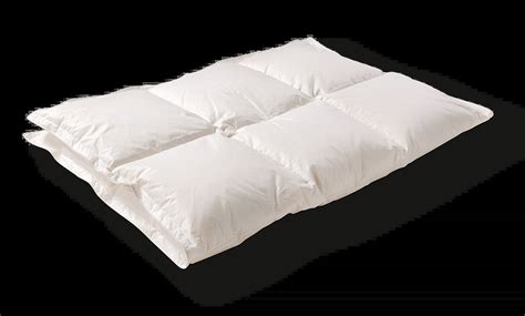 Moerbeiboom Zijde Van Cadsand Slaapcomfort