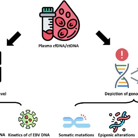 Application Of Cfdnactdna Icons Made By Flaticon Flati Con