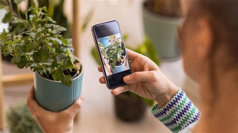 A Lifetime Subscription To This Ai Plant Identifier App Is On Sale For 71 Off Blog A Lifetime Subscription To This Ai Plant Identifier App Is On Sale For 71 Off Blog