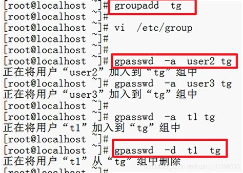 Linux 用户和权限之组管理命令linux Addgroup Csdn博客