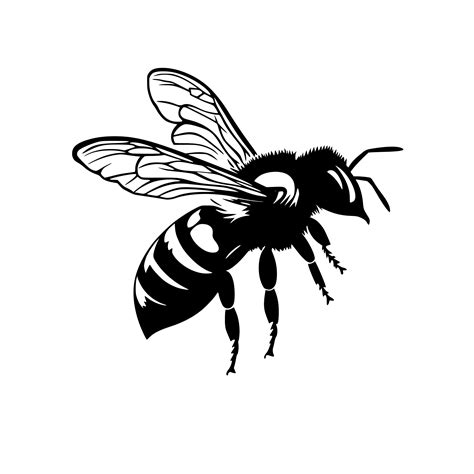 Bee Svg Bee Svg Bundle Bee Silhouette Bee Svg File Bee Cut Files