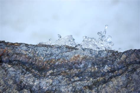 The Select Clause Sql Statement Fundamentals