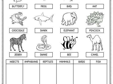 Free Printable Animal Classification Worksheets Editable Blank