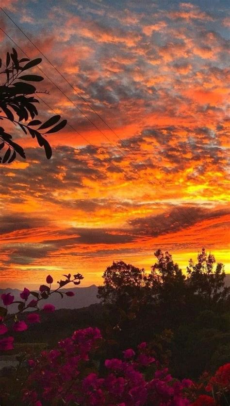 Rafael Sol Rafael Sol Added A New Photo