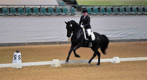 Startseite Julia Eisenmann