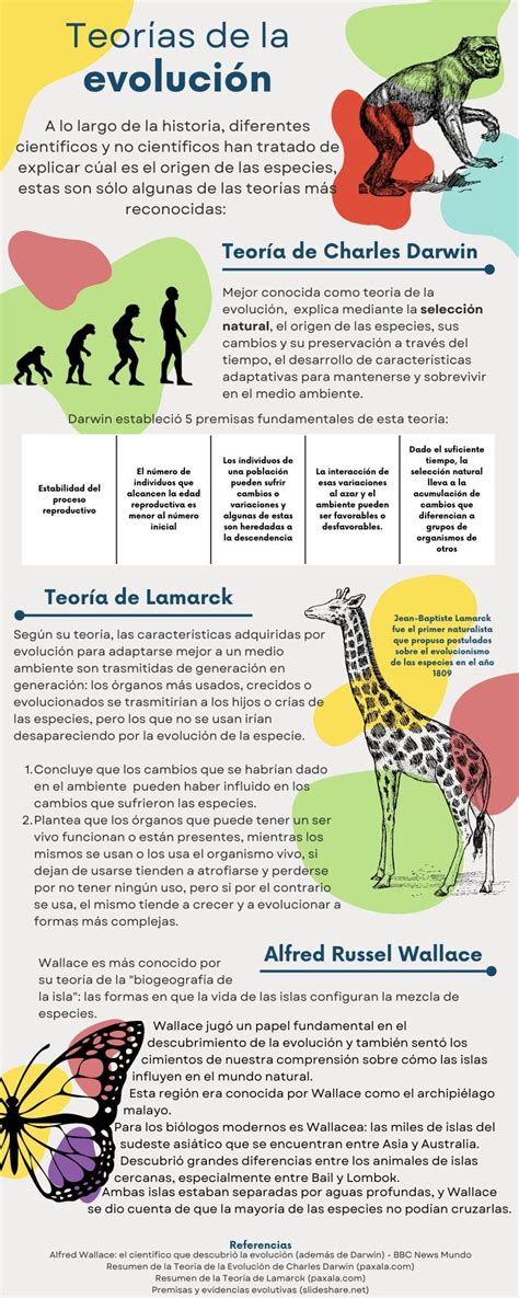 Teorías De La Evolución Temas De Biologia Evolucion Biologica
