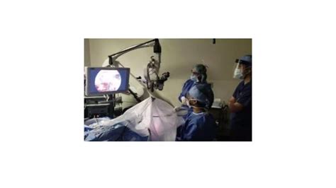 Chronic Otitis Media Squamosal Disease Pptx