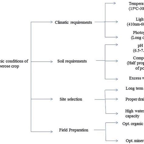 2 Agronomy Practice Layout For Tuberose Polianthes Tuberosa 11